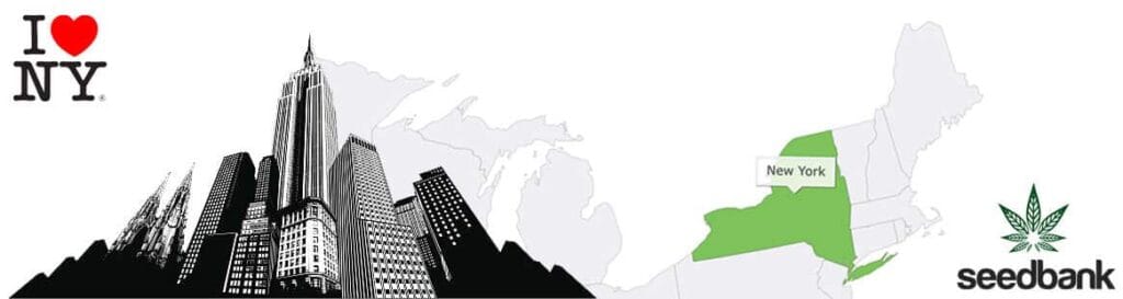 New York Seed Bank | Buy Cannabis Seeds in New York