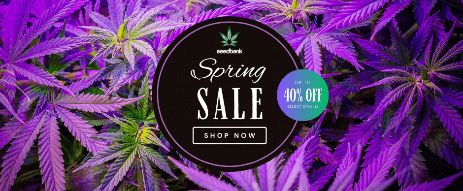Sale Products - SEED BANK